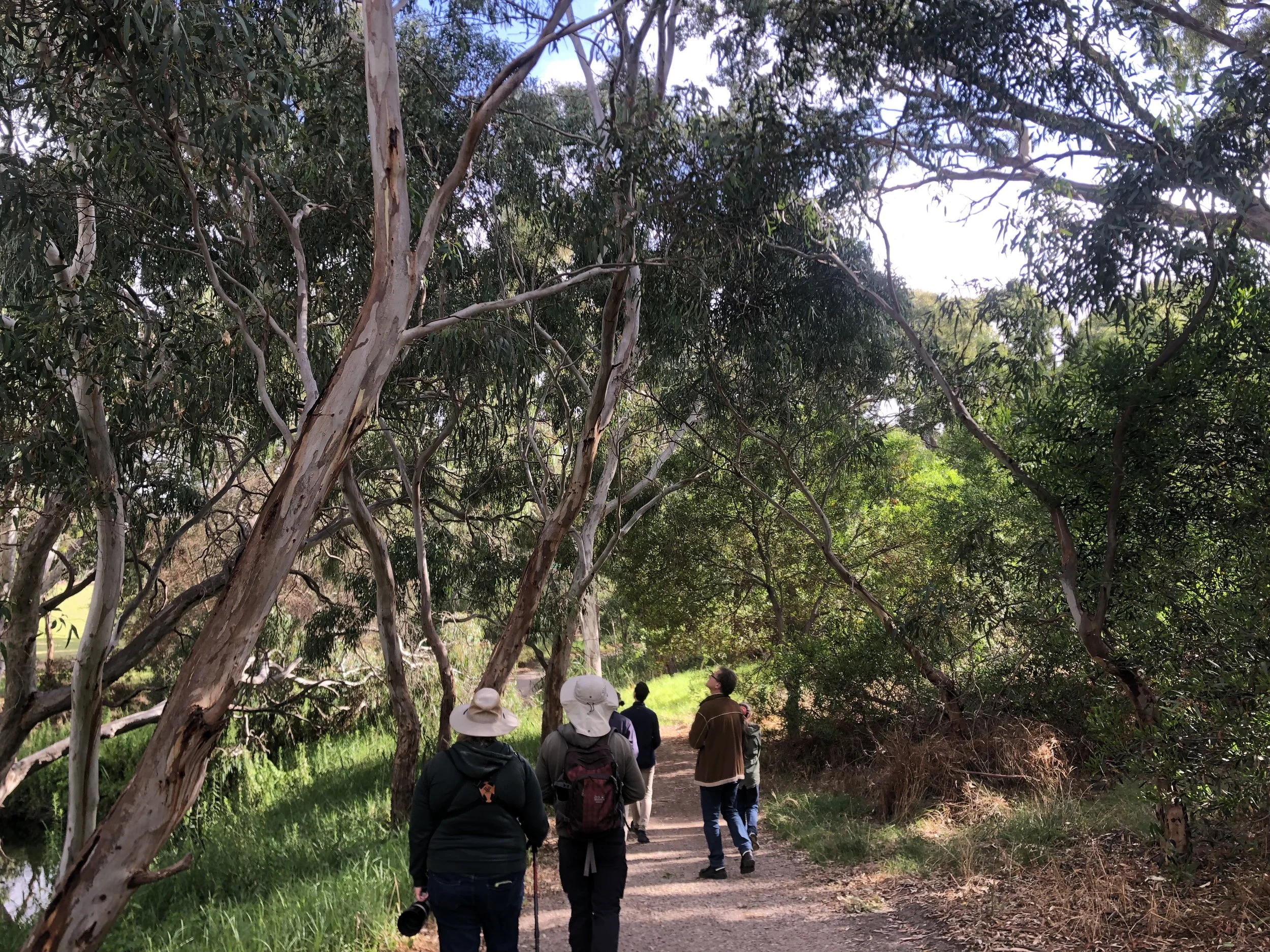 What Second Nature Conservancy Does — Second Nature Conservancy