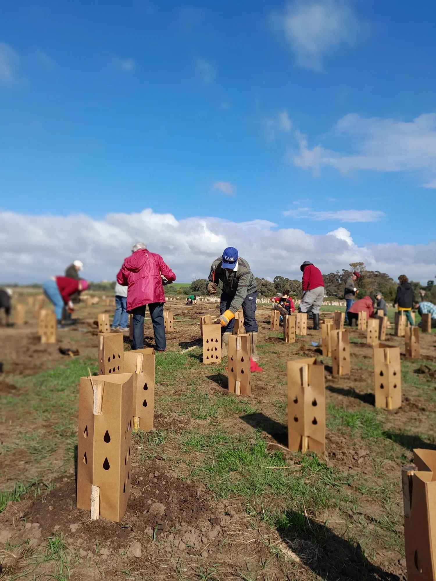 Volunteer For Nature - Donate Your Time To Help Nature In Your ...