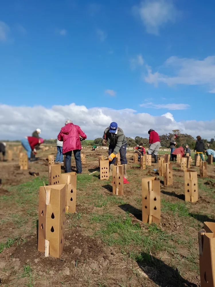 Volunteer For Nature - Donate Your Time To Help Nature In Your ...