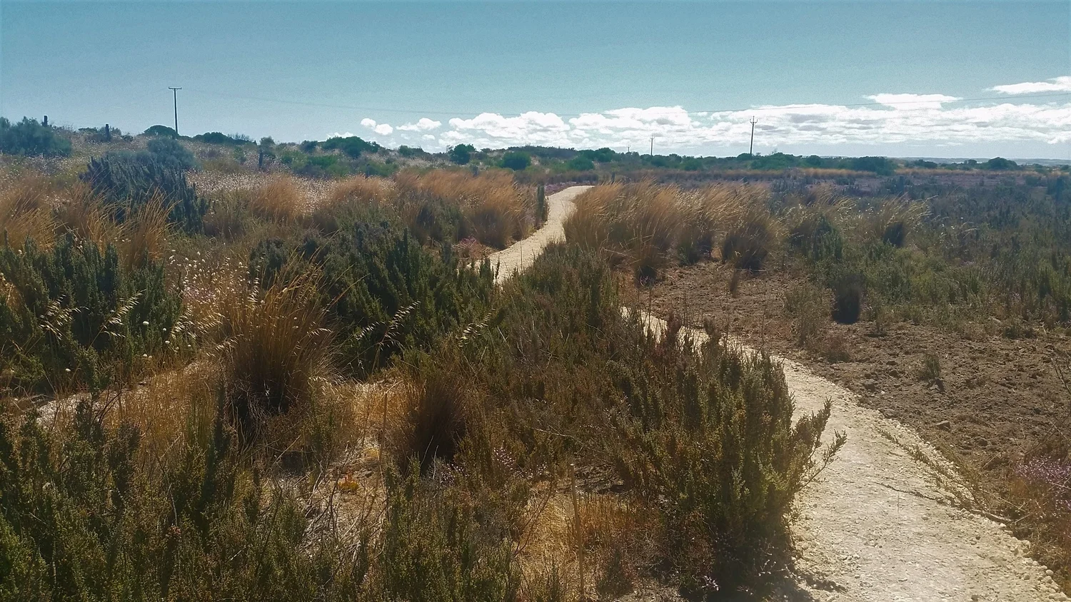 Where Second Nature Conservancy Works In South Australia — Second ...