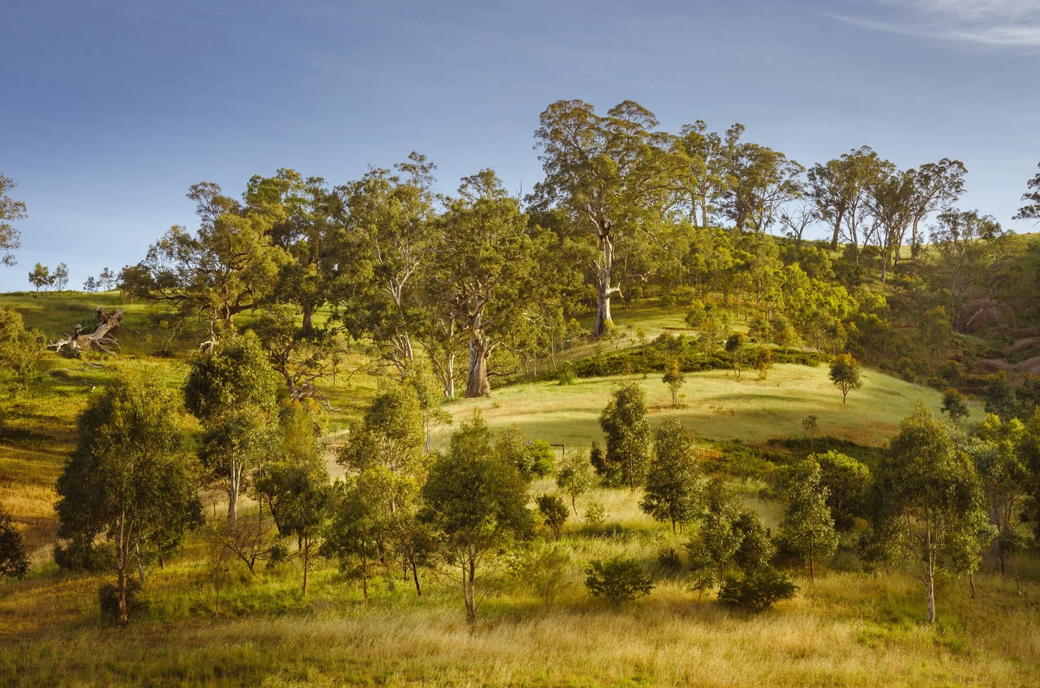 Second Nature Conservancy's Environmental Nature Projects In South ...