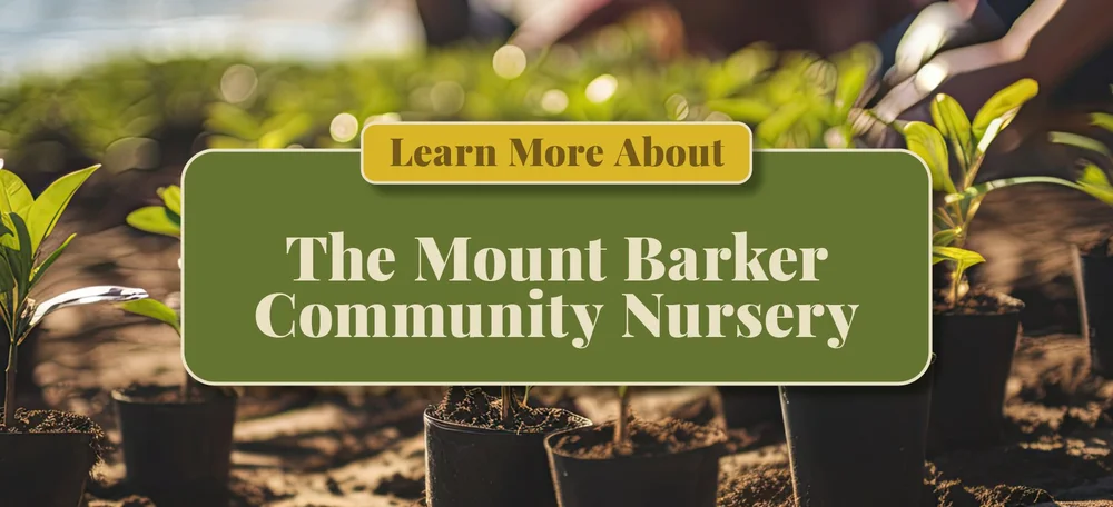 Volunteer For Nature - Donate Your Time To Help Nature In Your ...