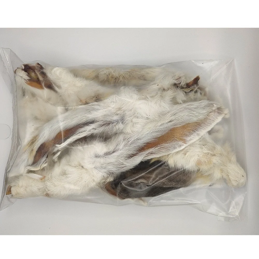 Shop — Dynamite Dogs Agility Training