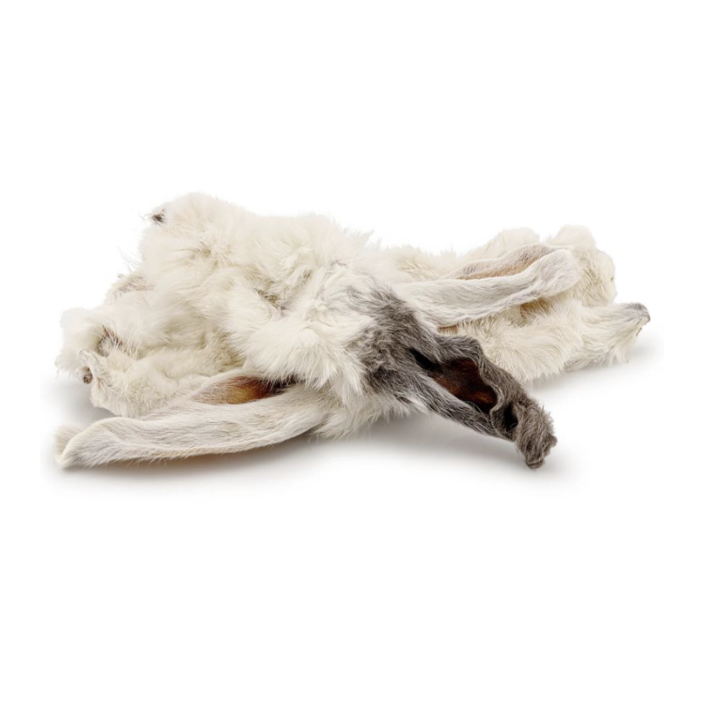 Shop — Dynamite Dogs Agility Training