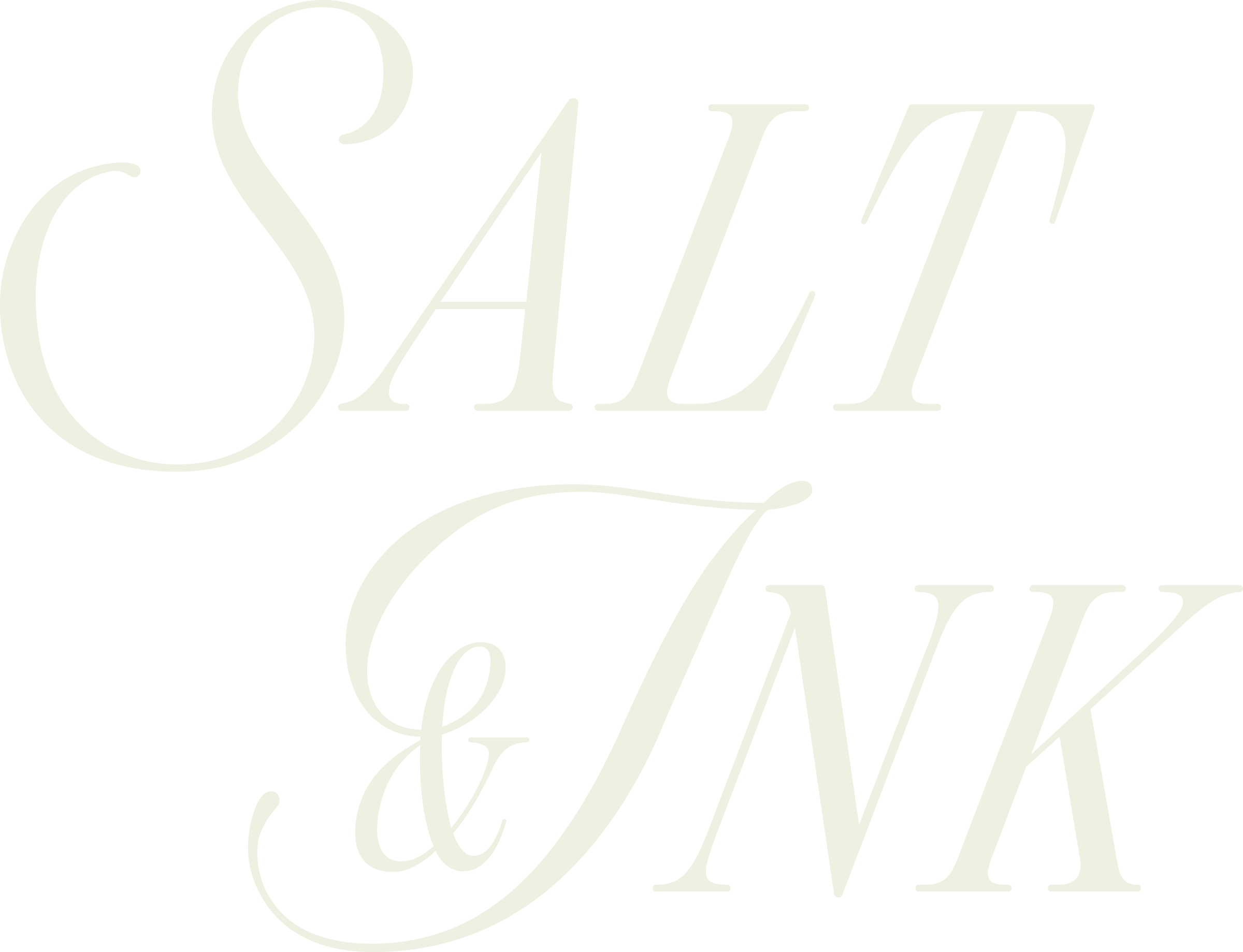 Salt & Ink Design Studio