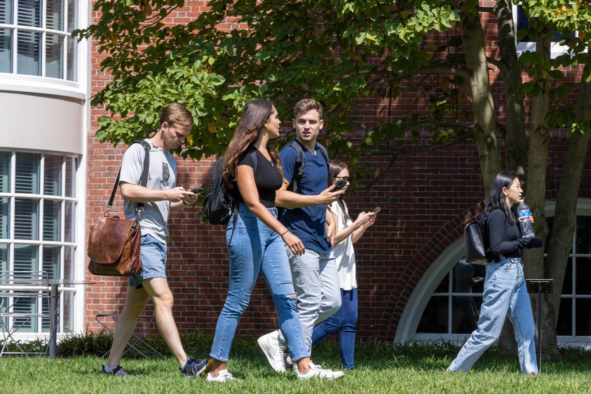 HBS Student Association