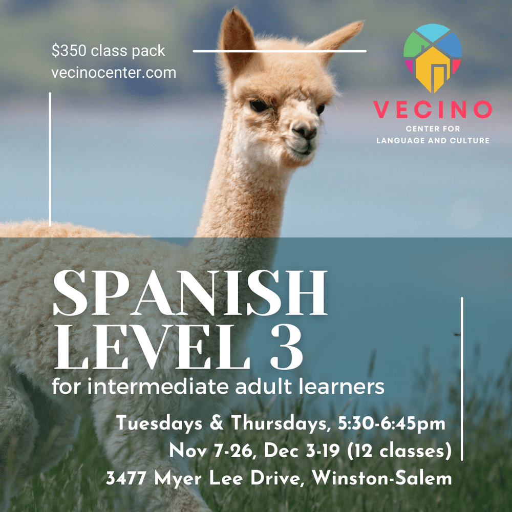 Language Classes — Vecino Center for Language and Culture