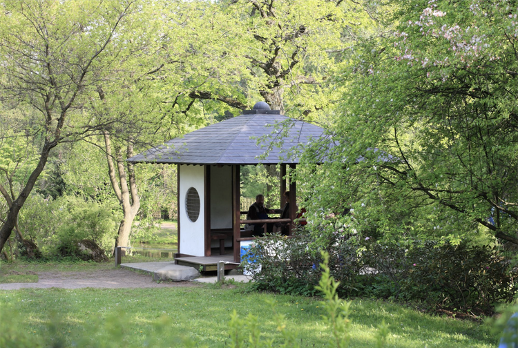 The Japanese garden landscape and esthetic and it's component — Soumia ...