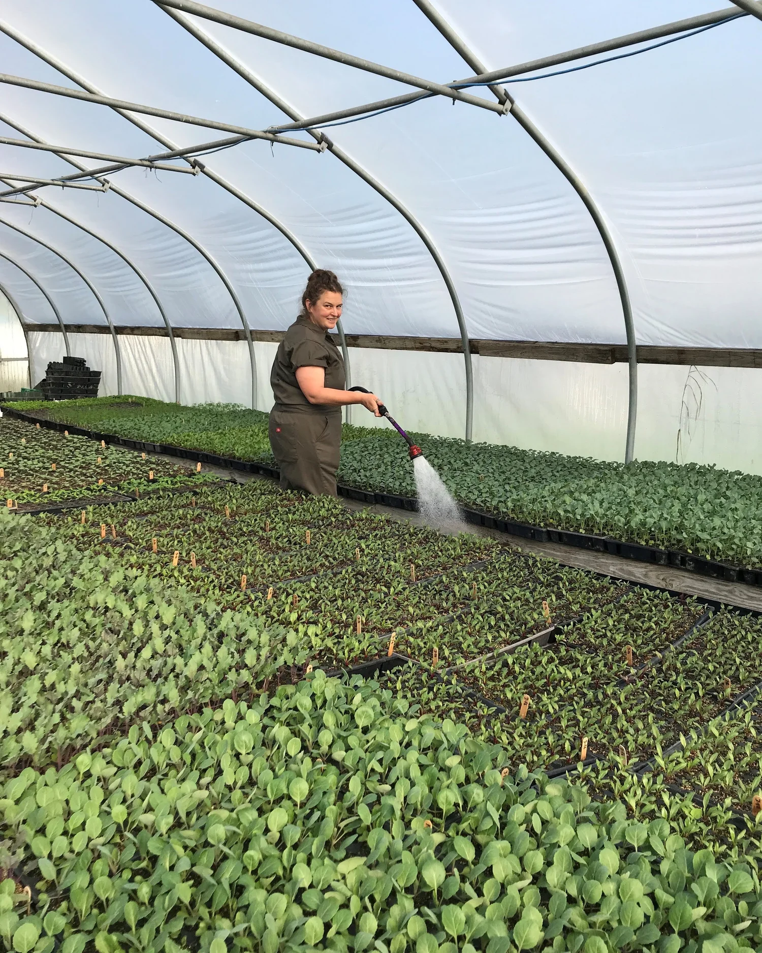 Aspire® Cannabis: Top-Rated Dispensary & Community Cause