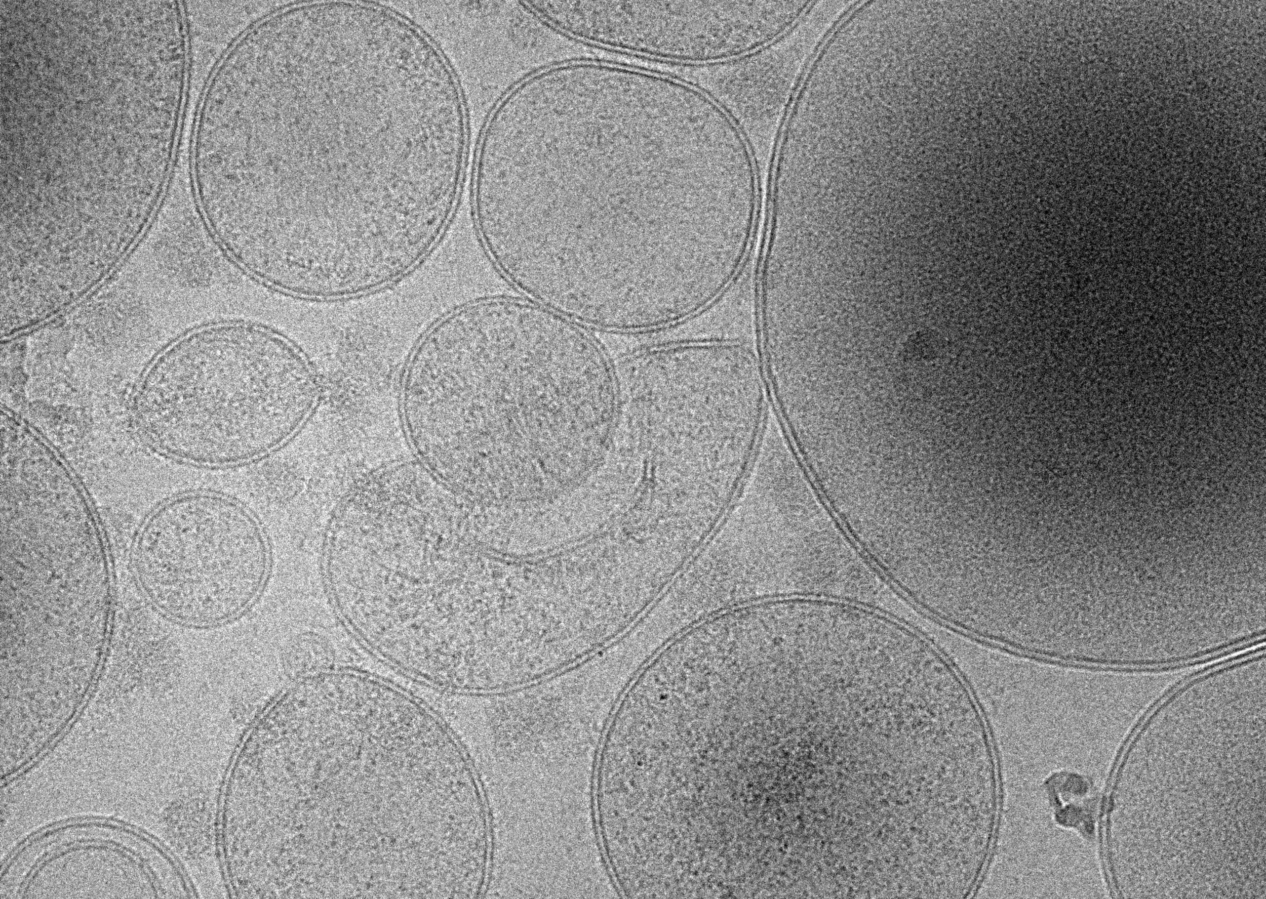 Chen Zhao Lab Florida