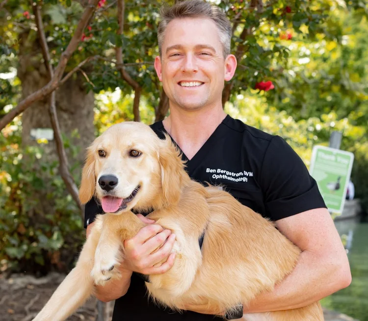 The Eye Vets | Nashville Veterinary Ophthalmologist