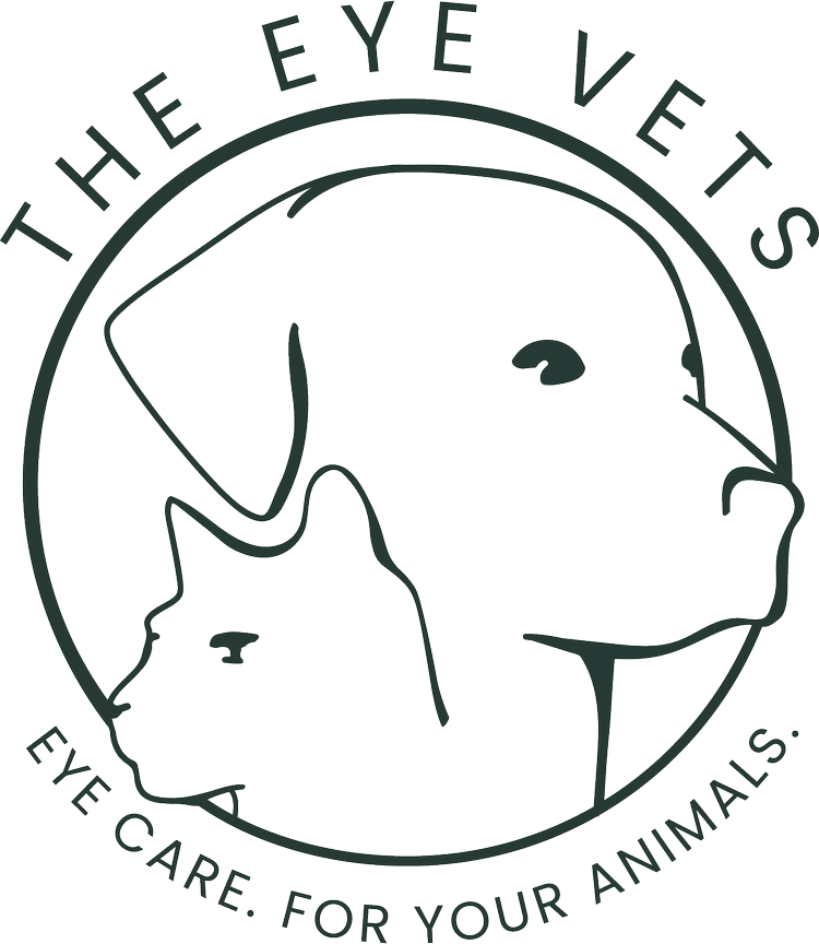 The Eye Vets | Nashville Veterinary Ophthalmologist