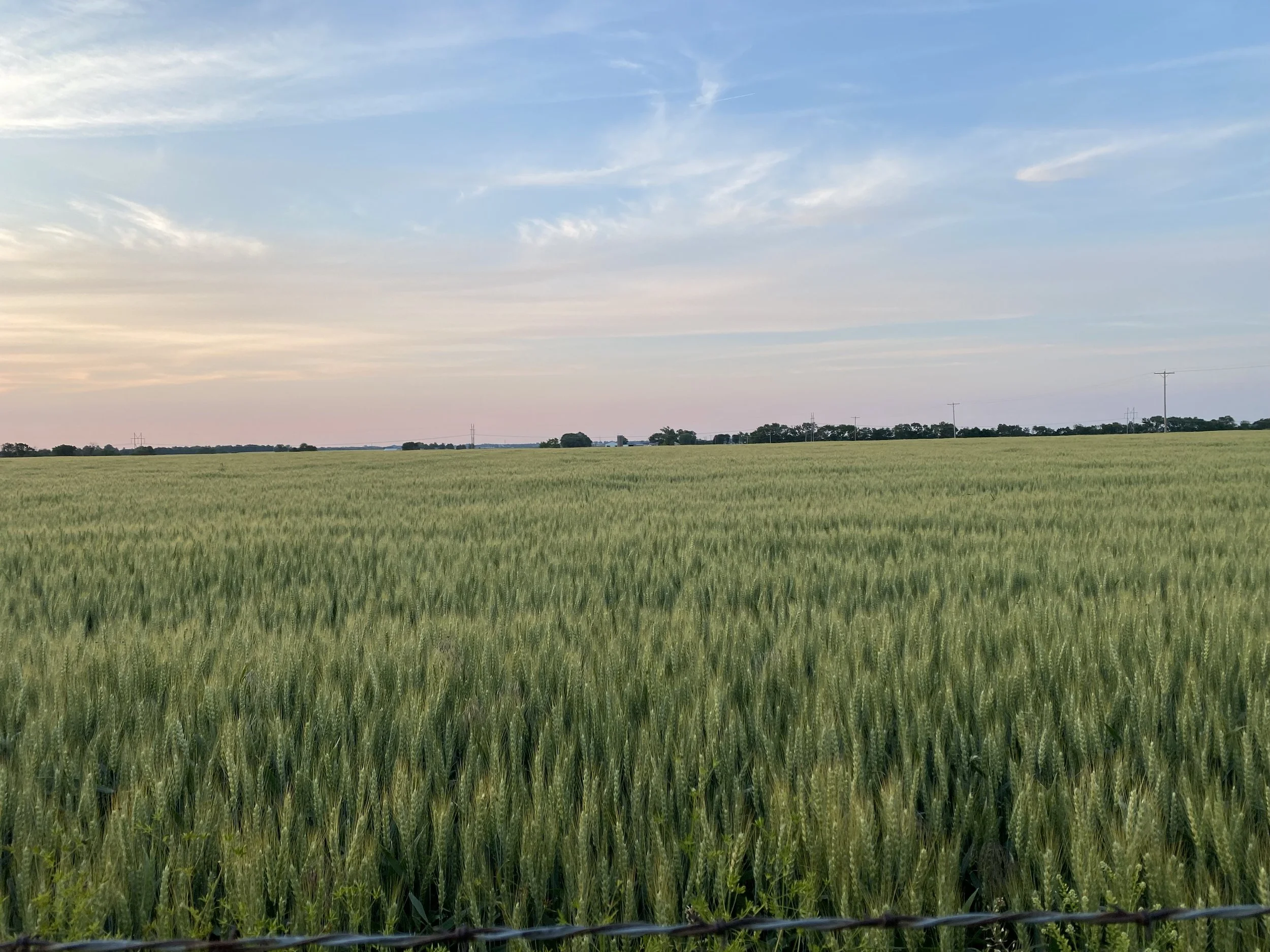 McCUNE, KS: A TOWN IS BORN — McCune Story