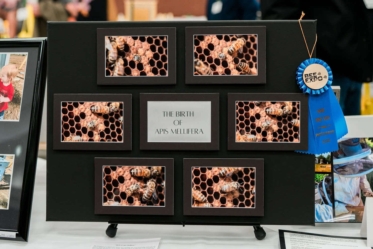 2024 Photo Gallery — North American Honey Bee Expo