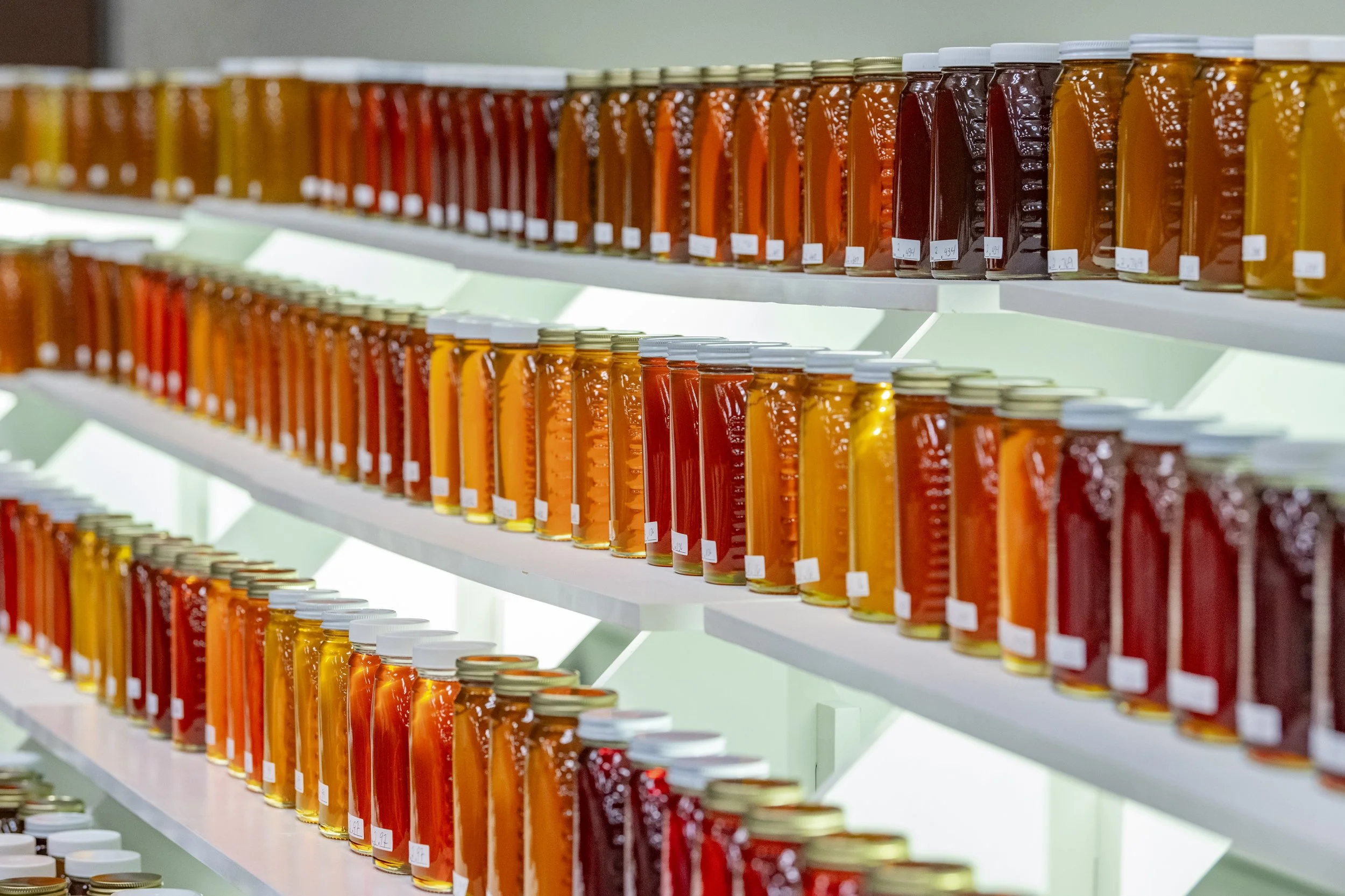 North American Honey Bee Expo