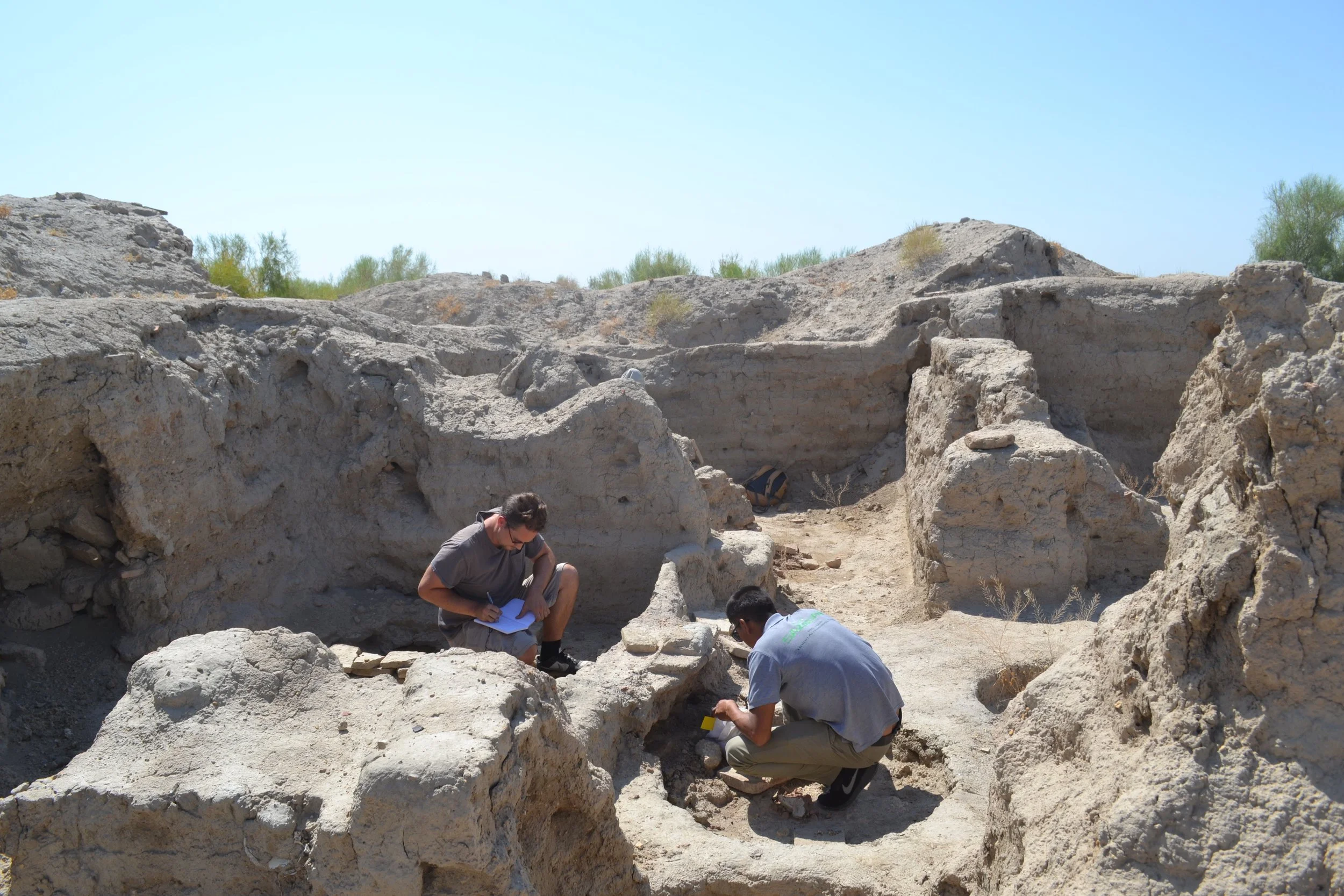 Silk Road Archaeobotany — Spengler Lab