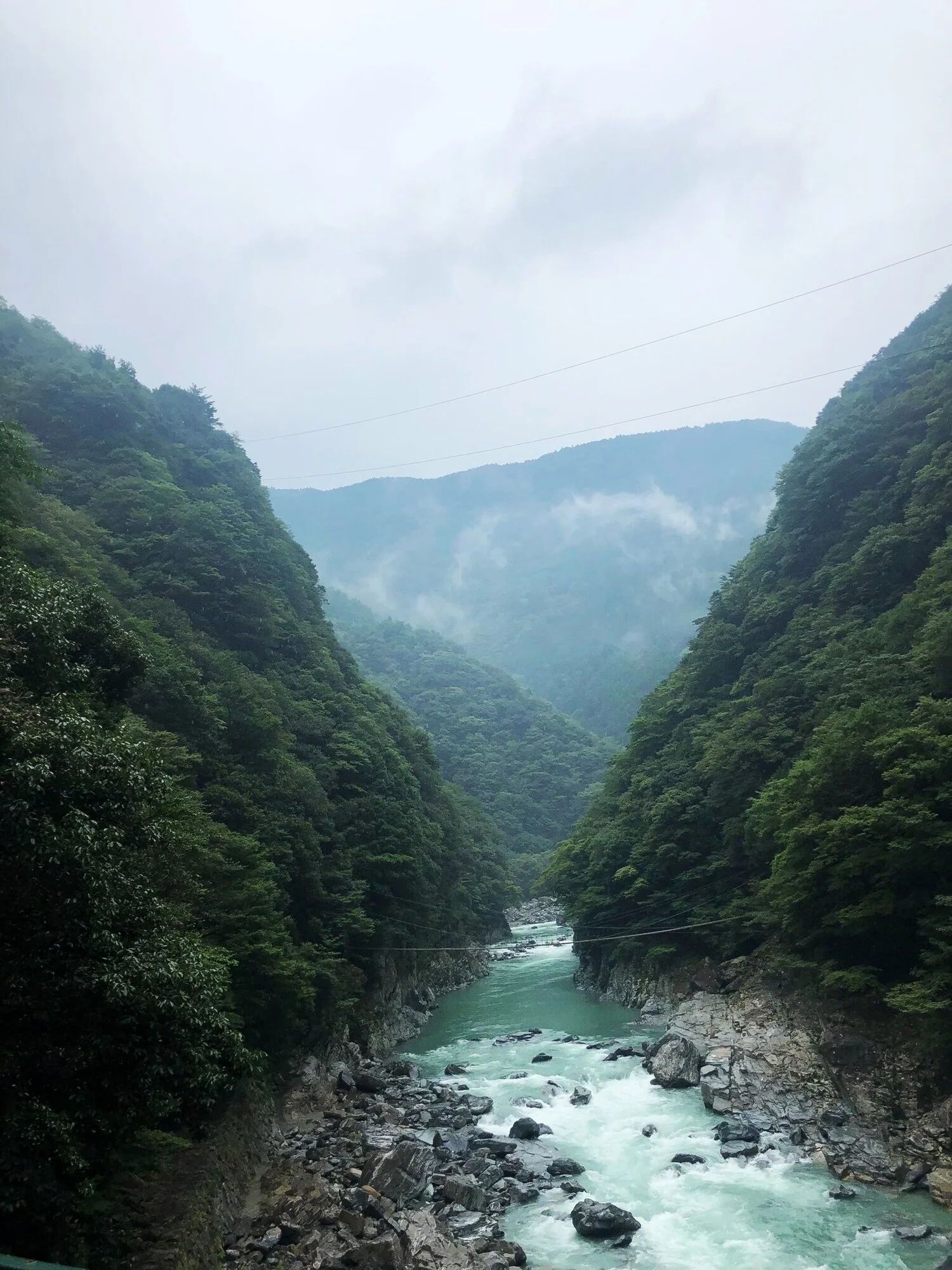 Ilenya Japan