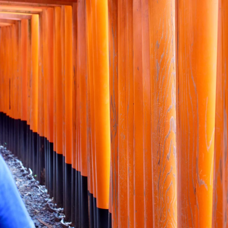 Visiting Miyajima Island: A Complete Guide — The Citrine Compass
