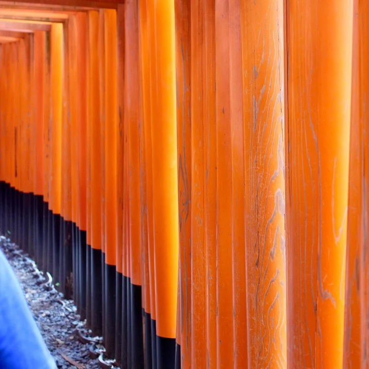 The Best Private Onsen in Japan Is in the Iya Valley — The Citrine Compass