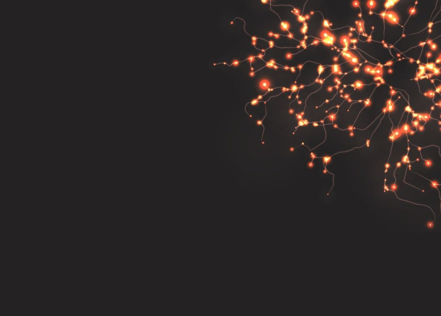 About Radiant Health — Radiant Healthcare