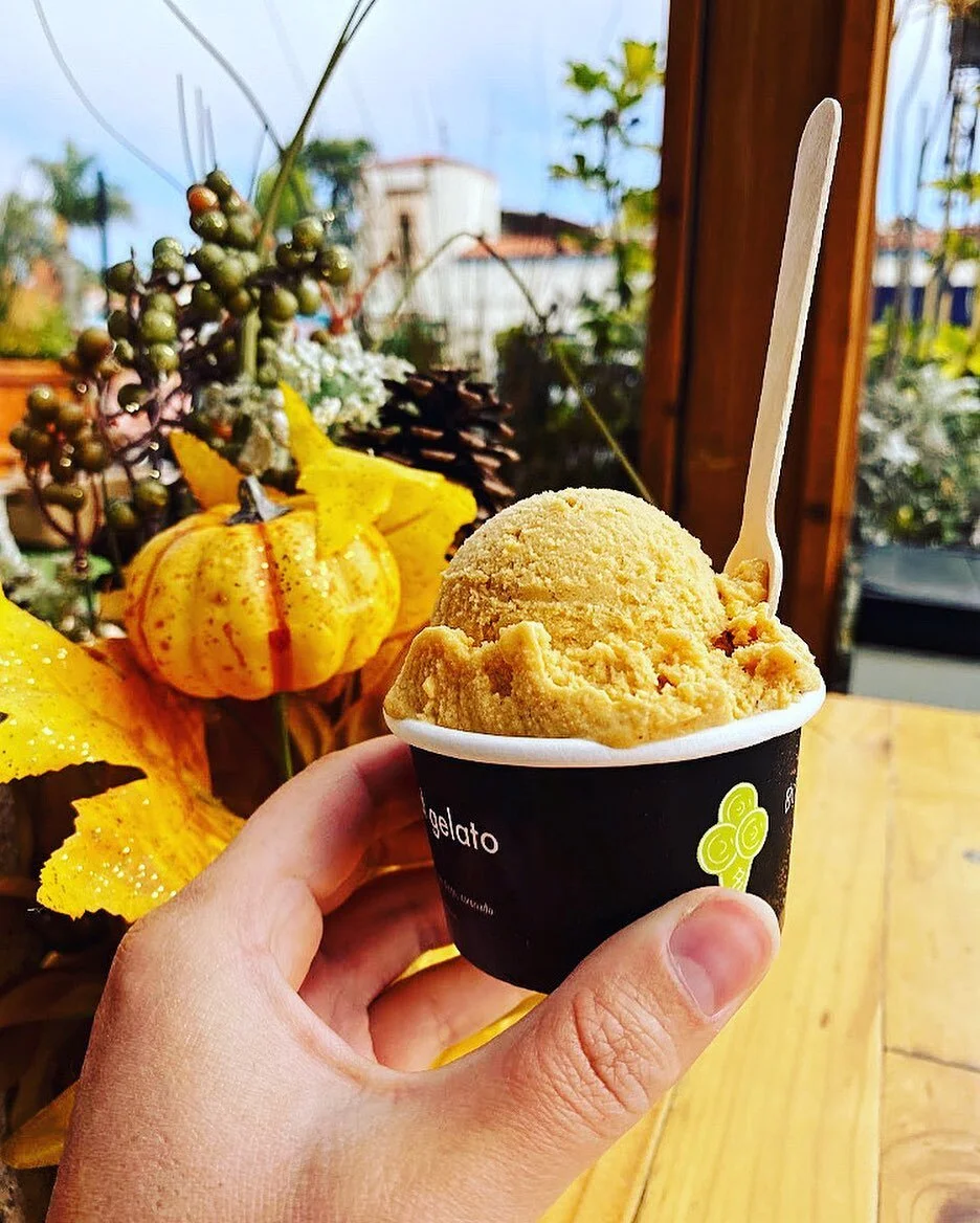 Handcrafted, Artisanal Gelato on Coronado Island | nado gelato CAFE