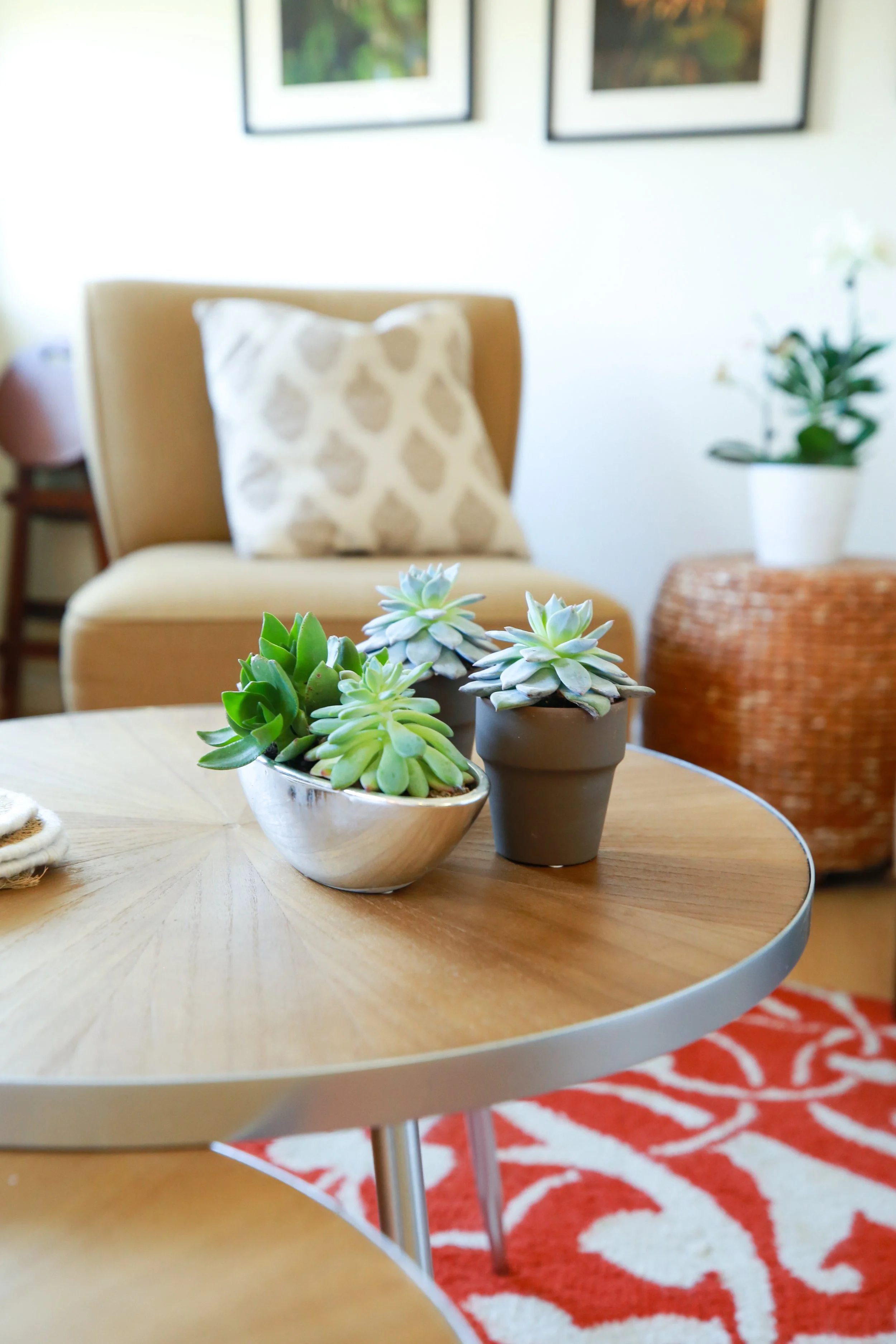 Ginger Springs Day Spa