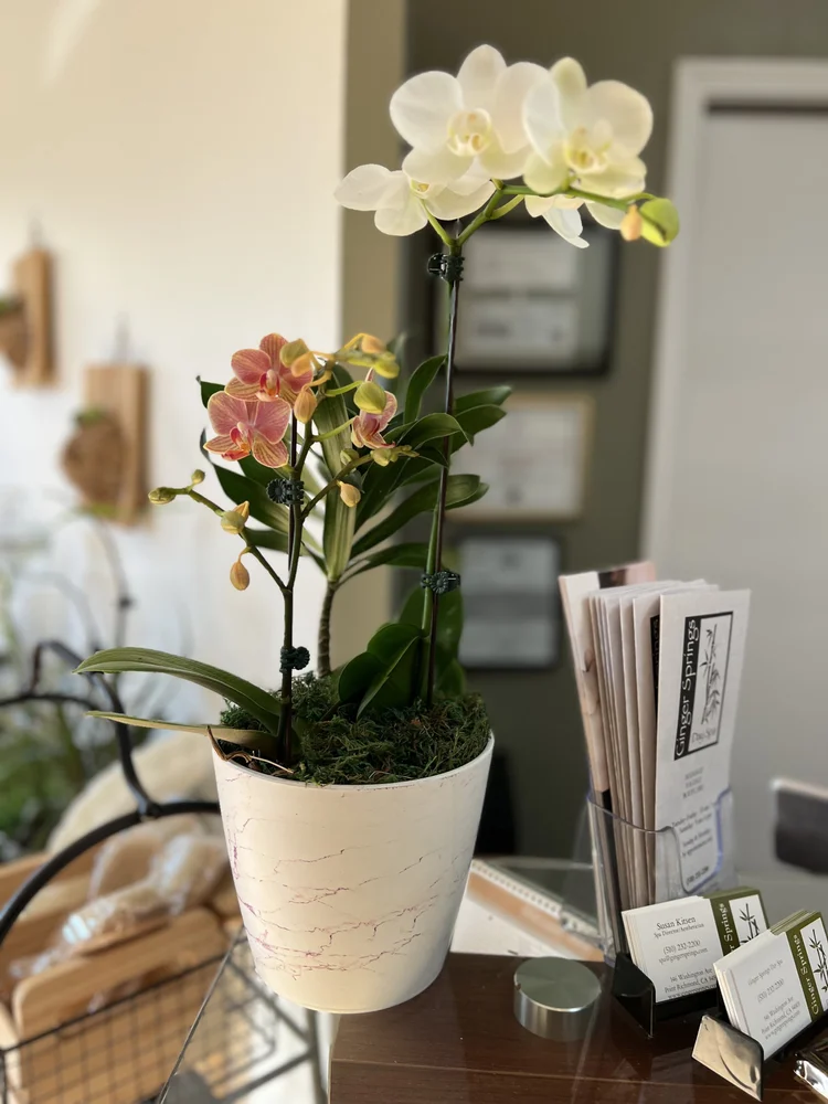 Gift Cards — Ginger Springs Day Spa