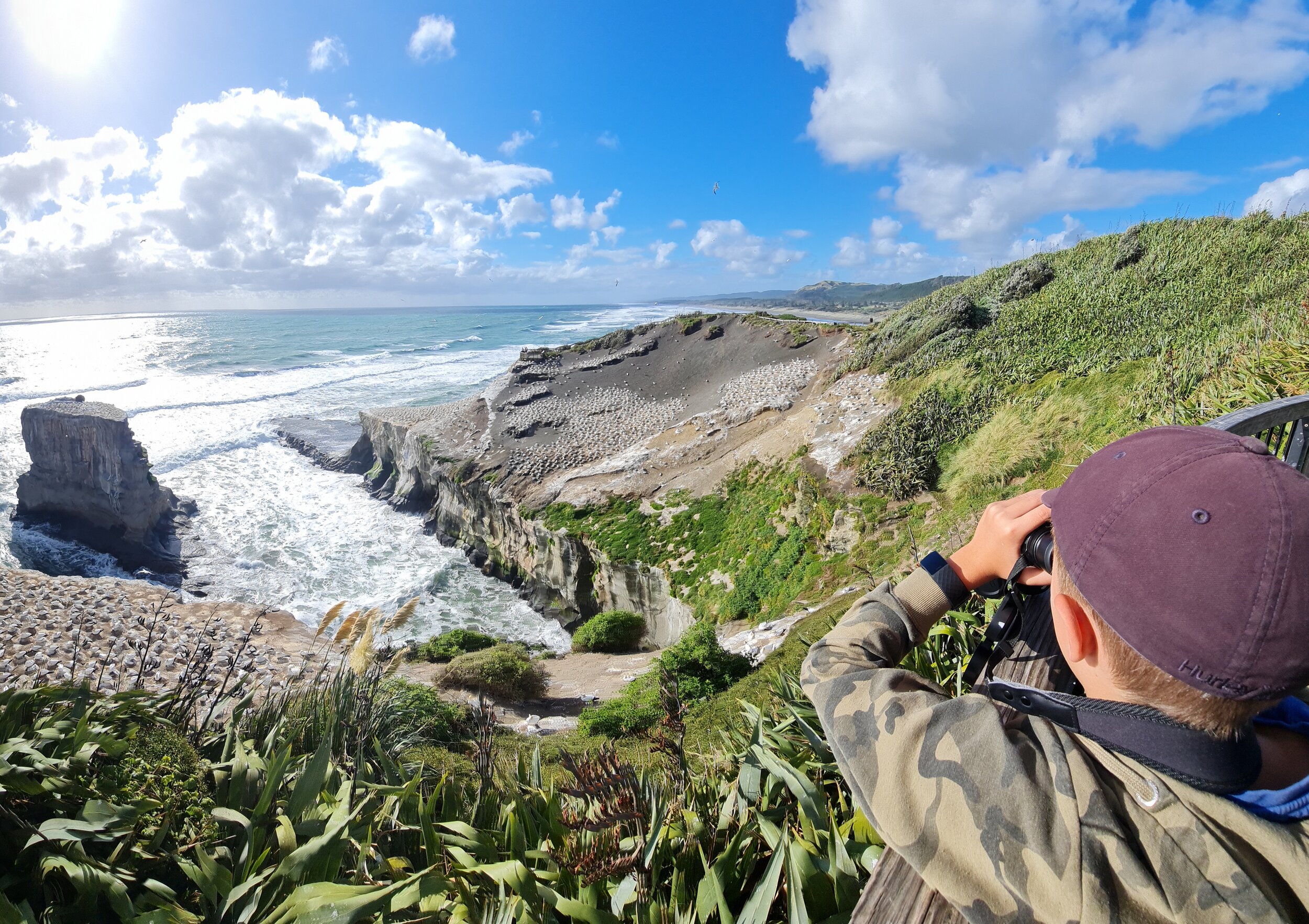 Our Team — Young Birders New Zealand