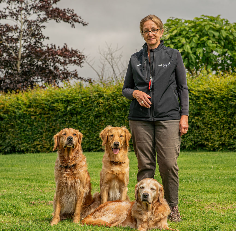 Town and Country Dog Training