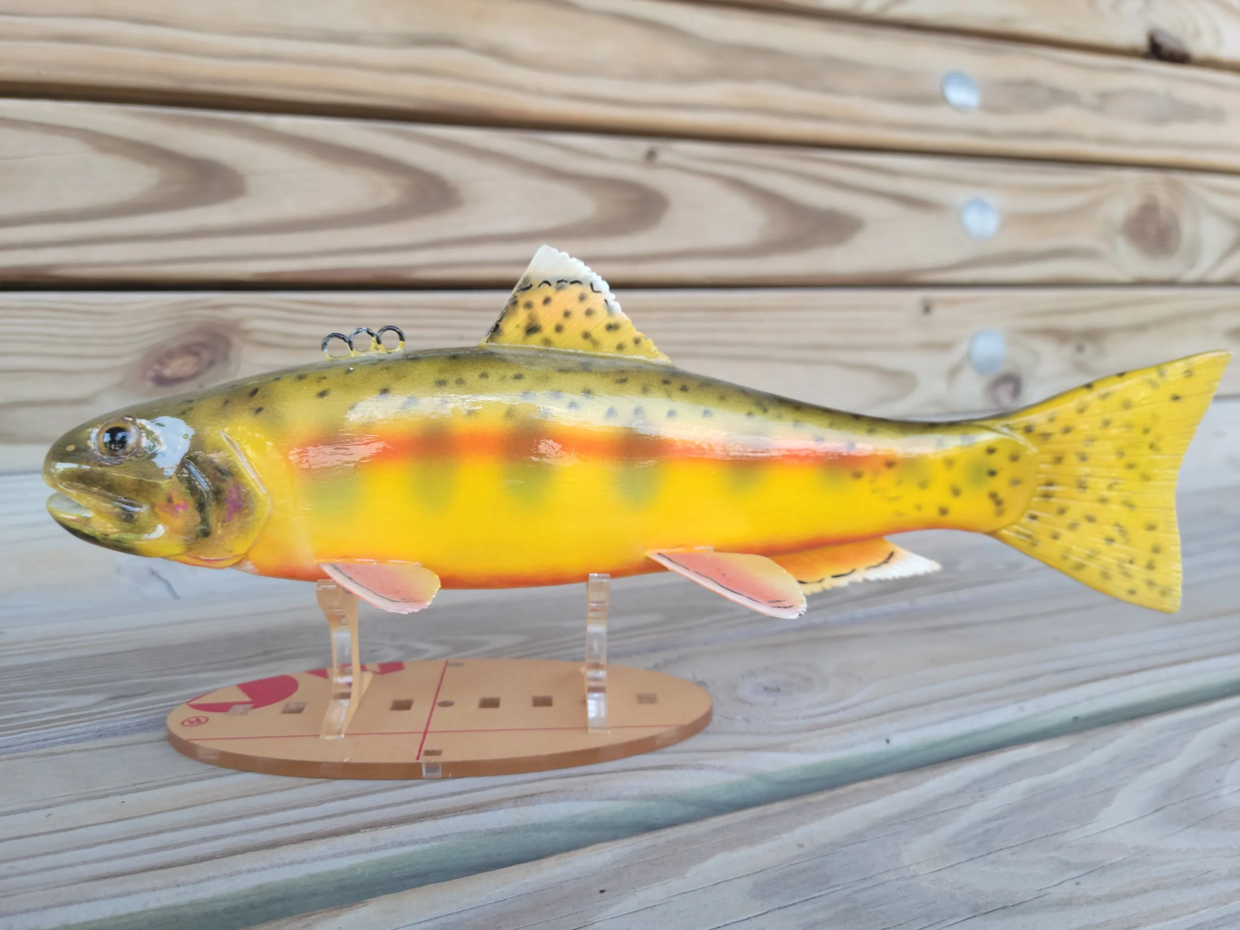 About — Decoy Education