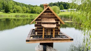 Store — Matthew Peech Woodworking