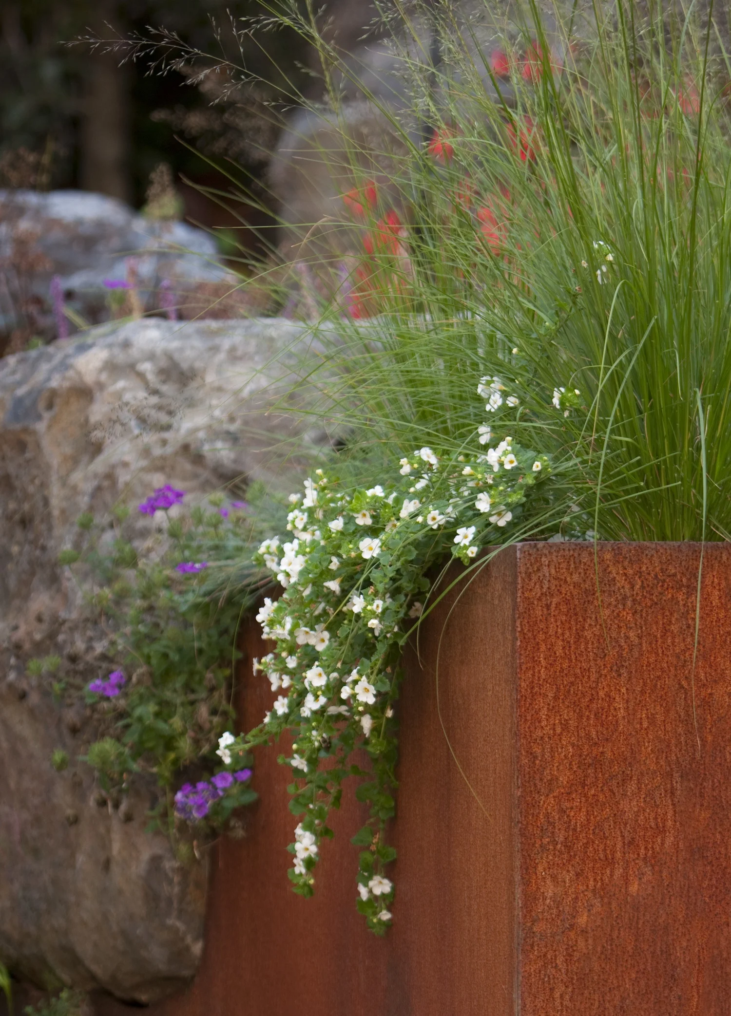 steel + stone — aguafina gardens international