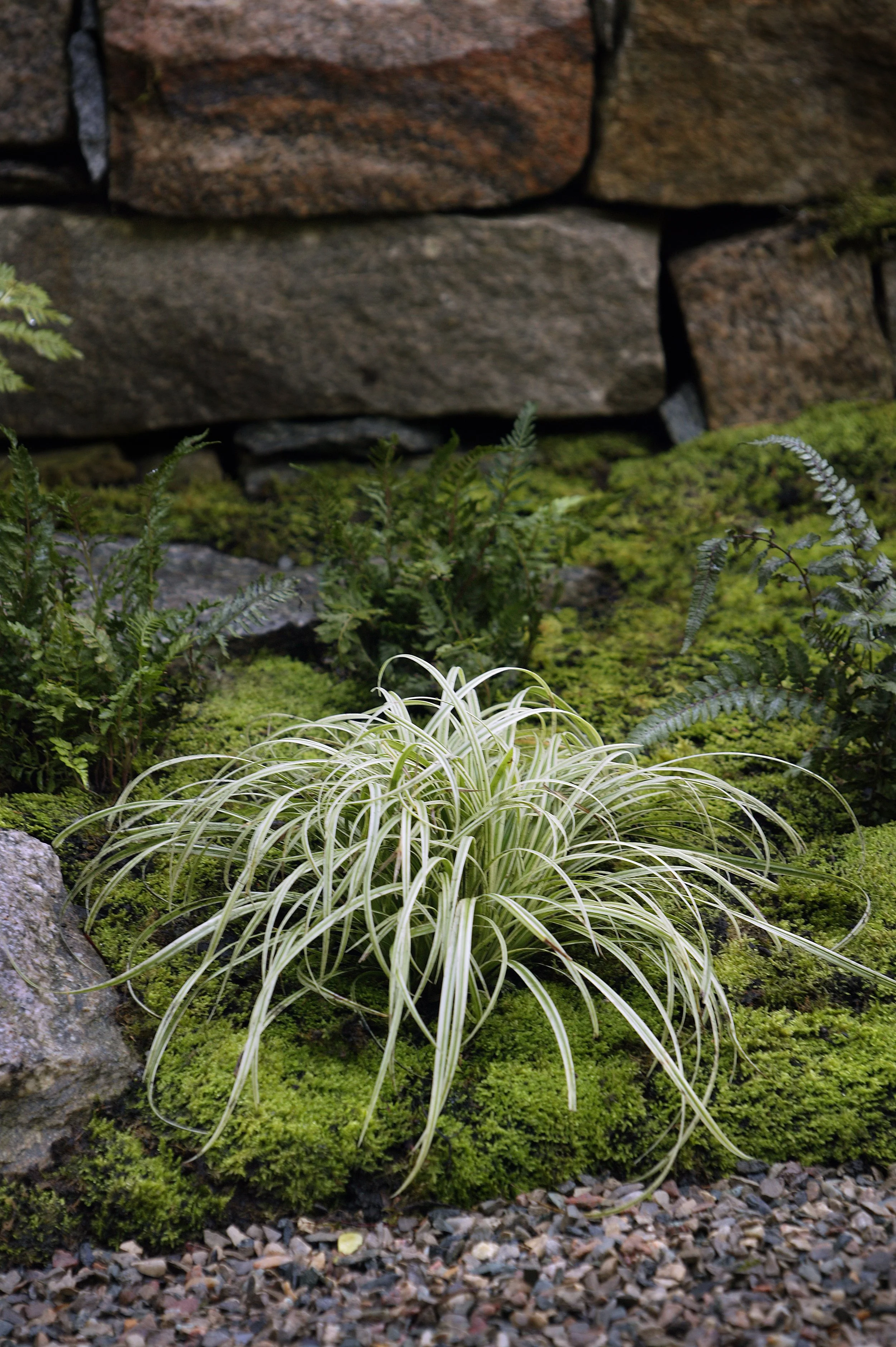 meditative space — aguafina gardens international