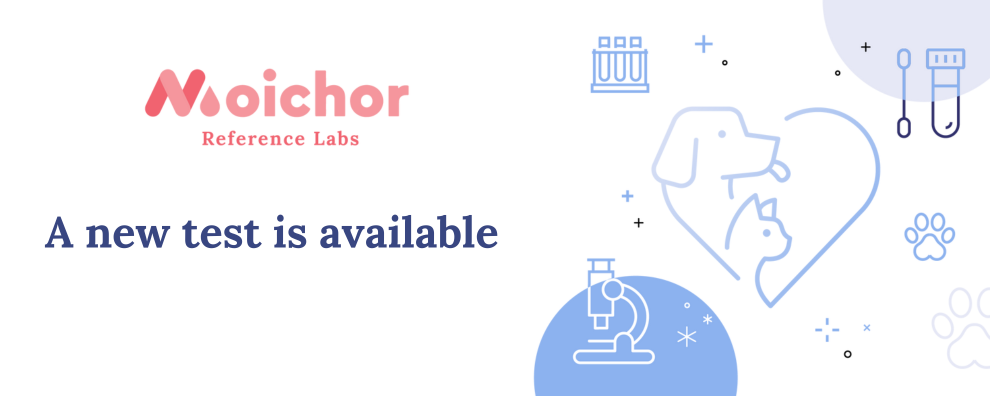 Product Marketing — Iaccarino Portfolio