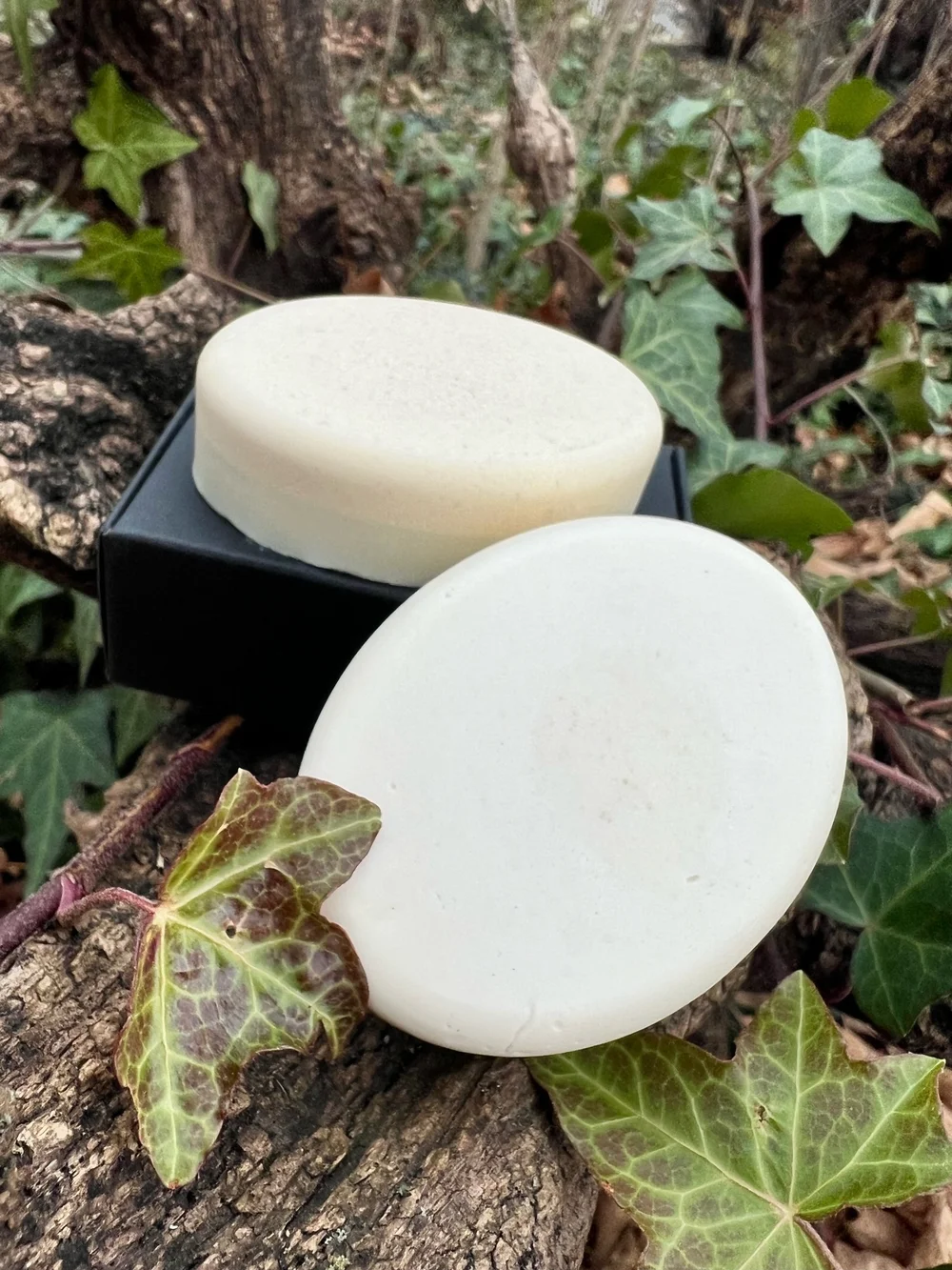 Shop — Painted Pastures