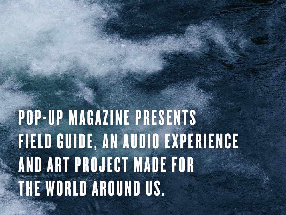 Pop-Up Magazine: Field Guide — Haley Howle