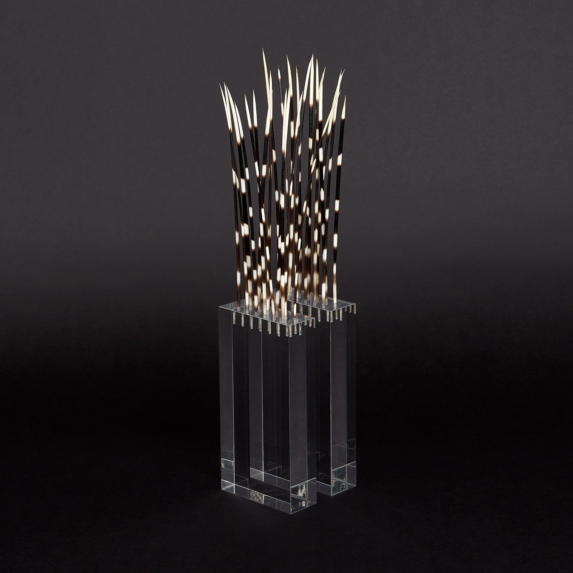 Objects — Studio Sven