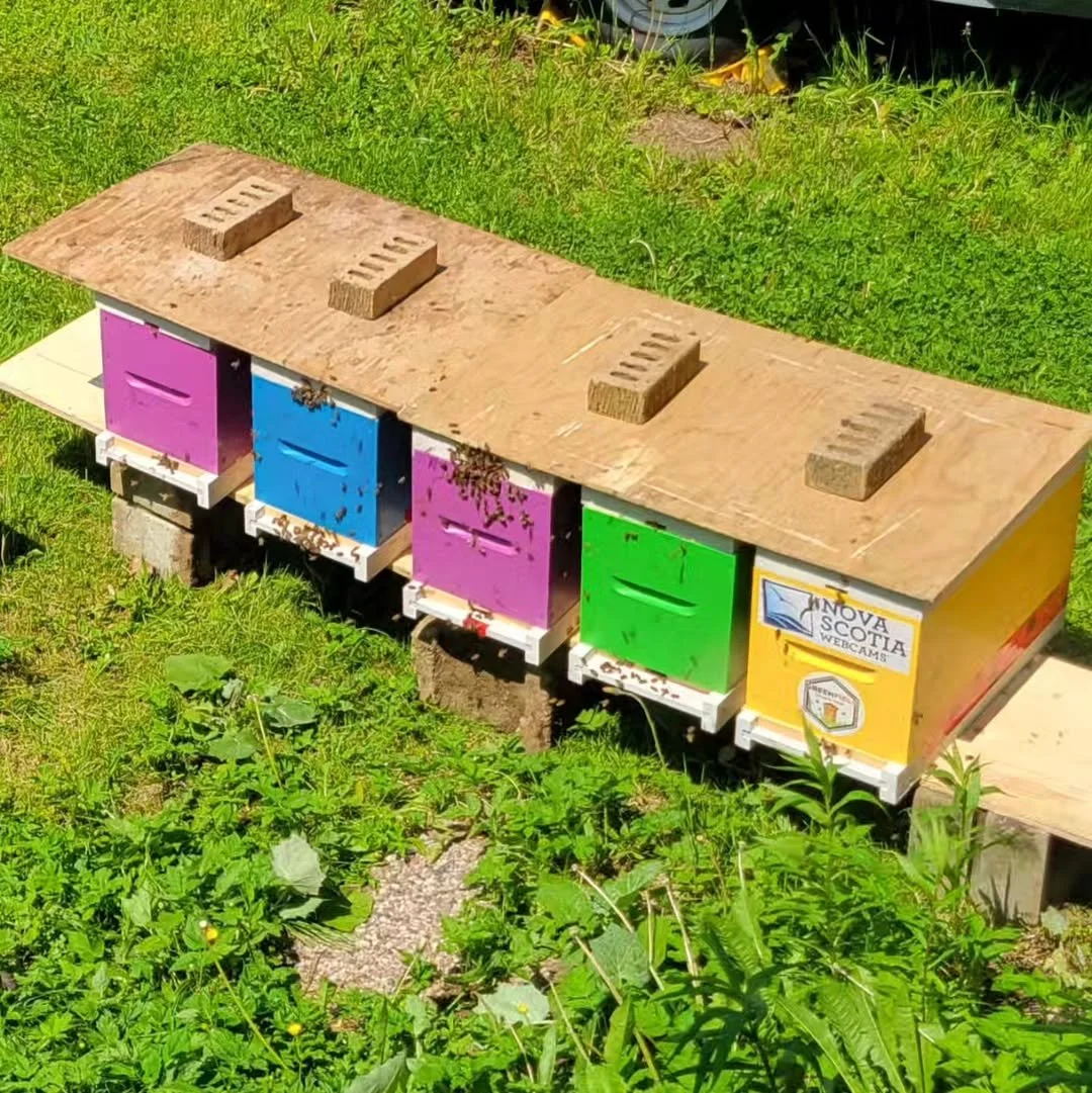 📣 SMALL BUSINESS SHOUTOUT 📣 : Greenfield Hives and Honey — Margaret ...
