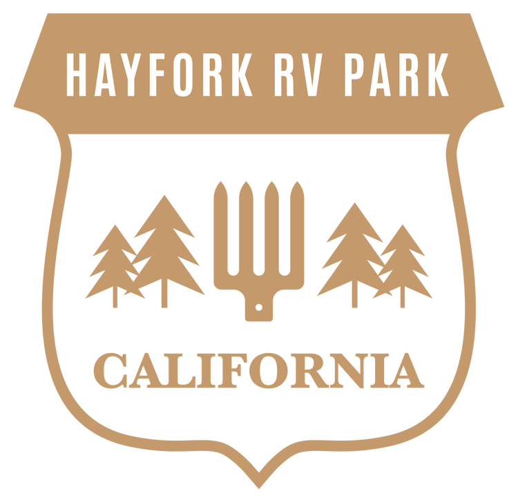 Hayfork RV Park - California