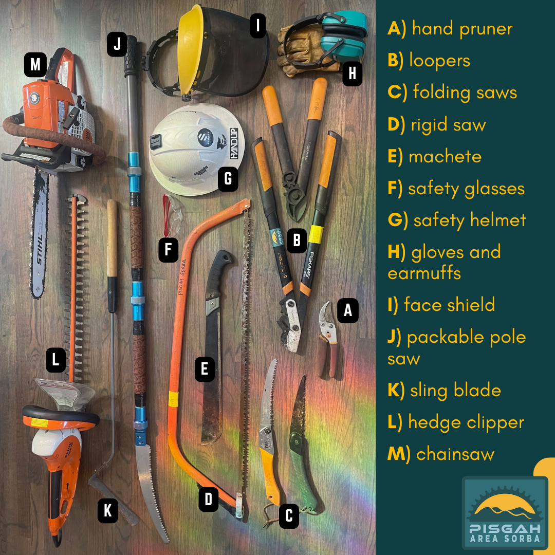 Keeping Pisgah Trails Clear: A Look at Brushing and Clearing — Pisgah ...