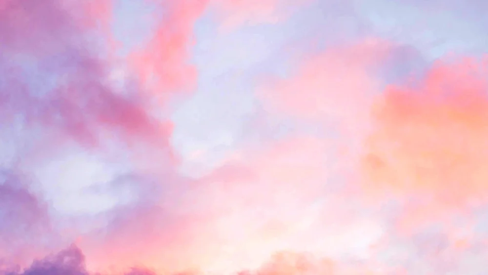 Lover | Taylor Swift Tribute Band