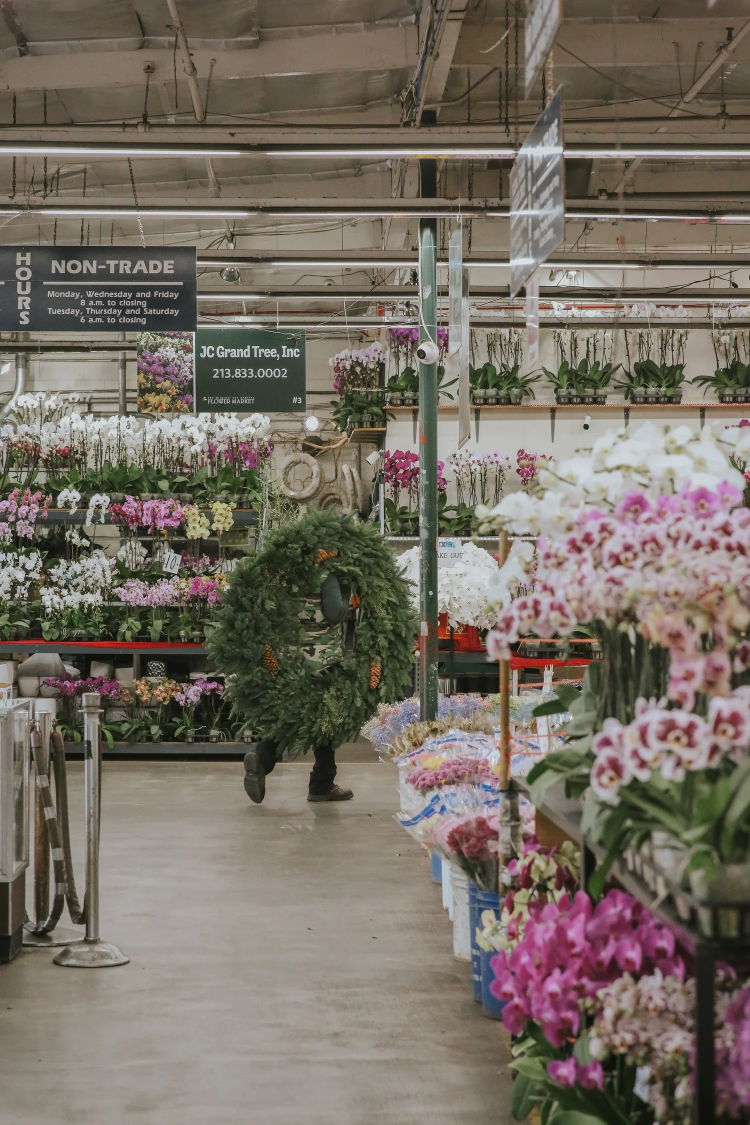 Visit The Market | Shop Fresh Flowers Today - Explore & Save — The ...