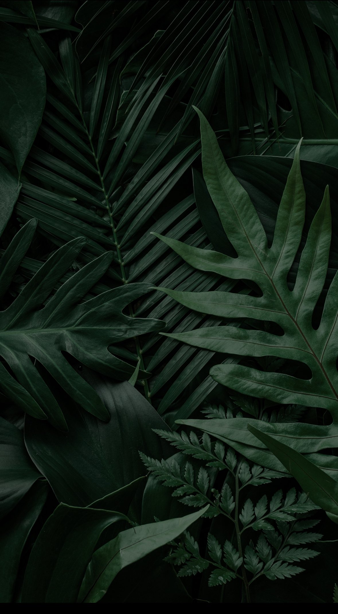 Who We Are — Crestview Studios