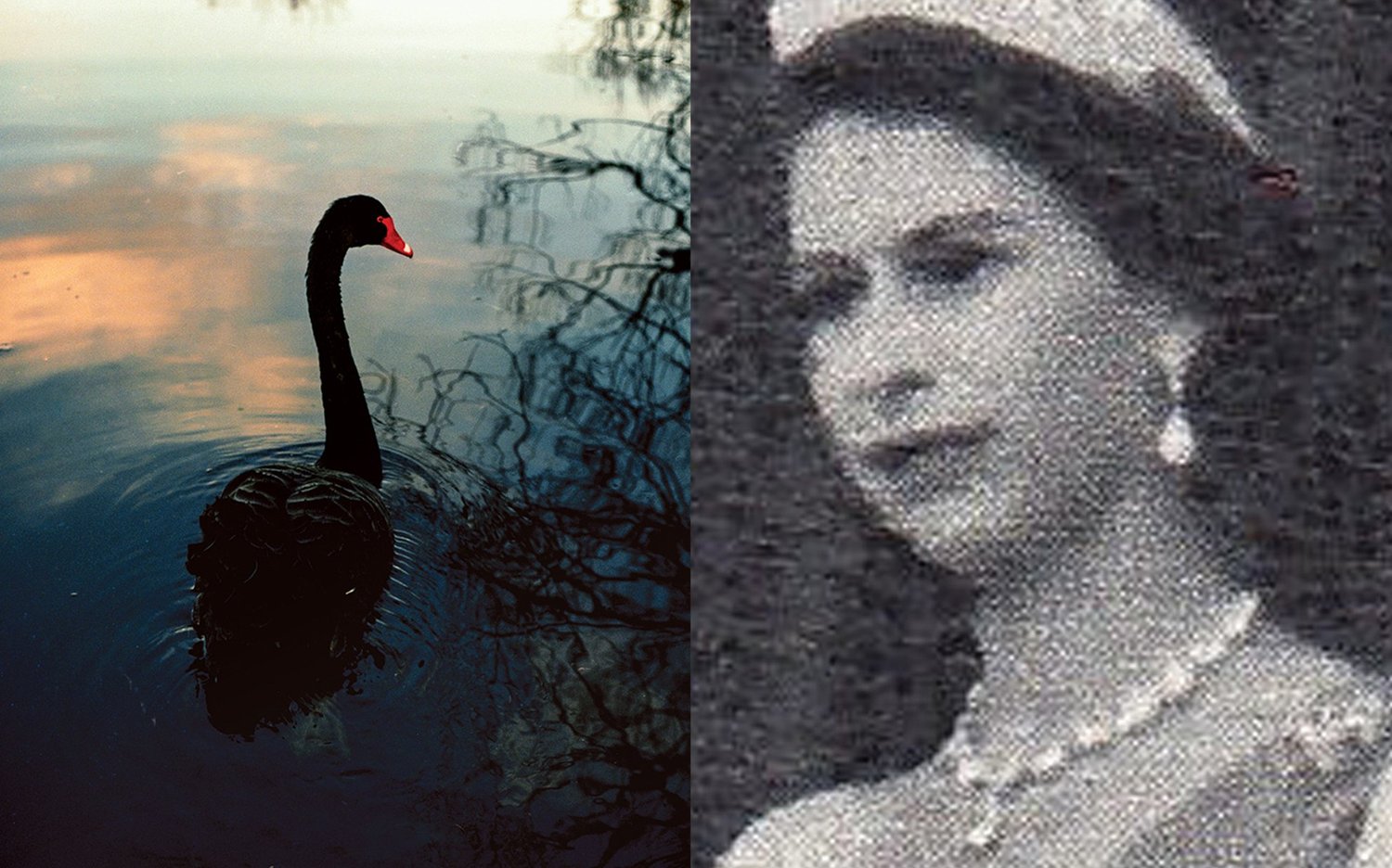 The Crimson Thread — Erin Lee Photography