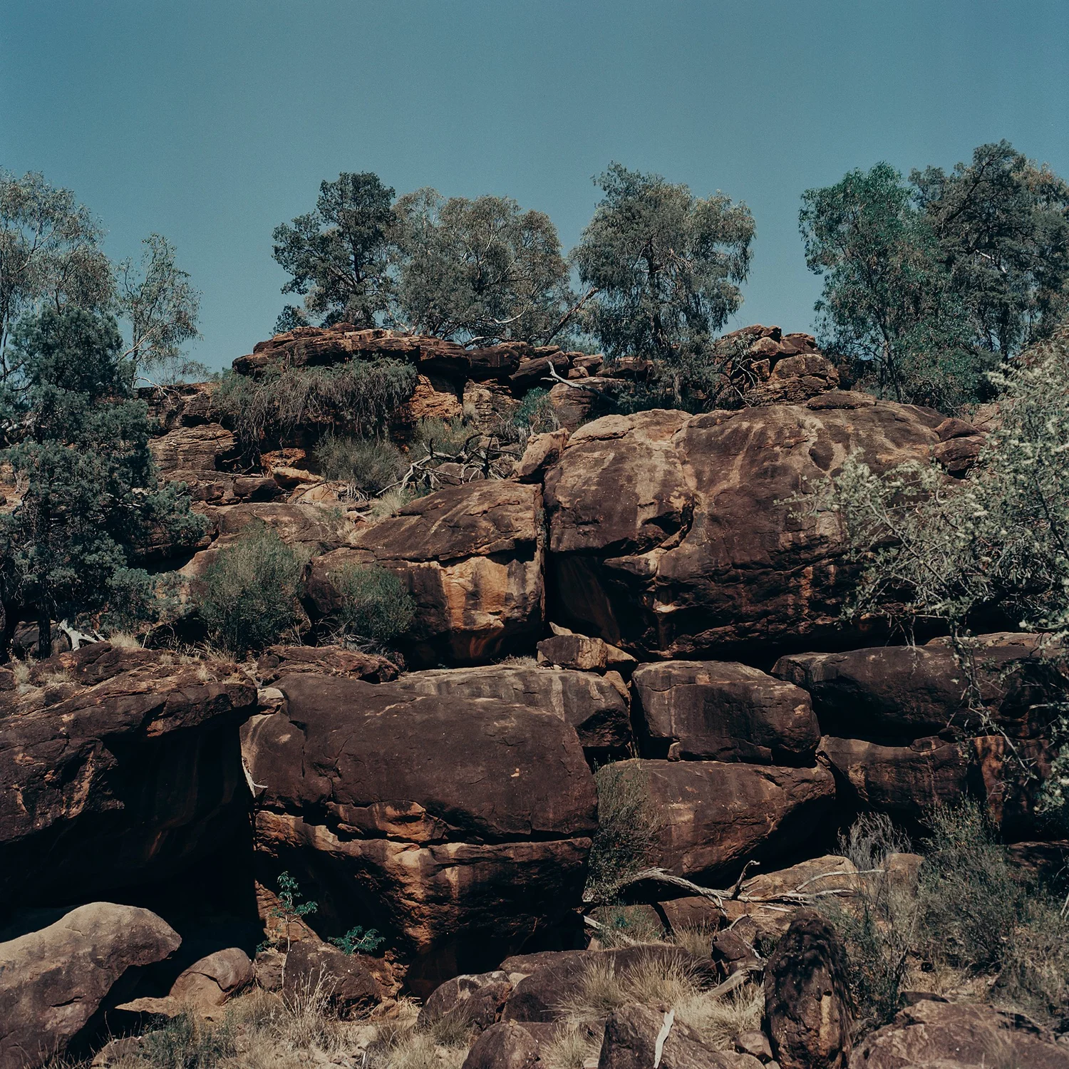 The Crimson Thread — Erin Lee Photography