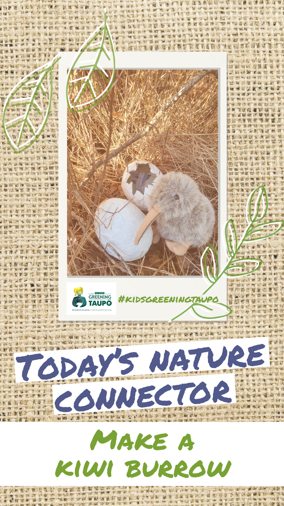 Kiwi Conservation — Kids Greening Taupō | Learning Through Nature