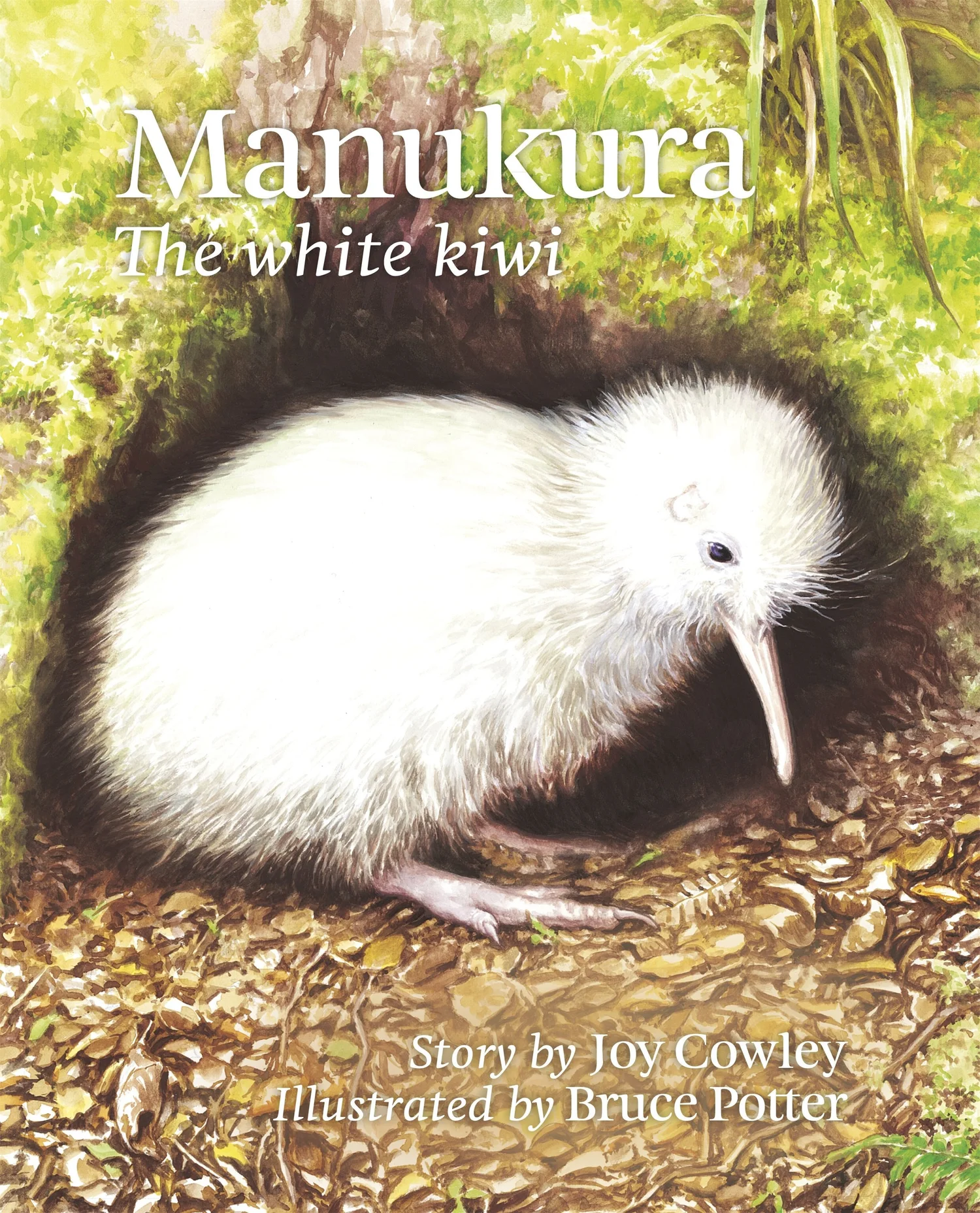 Kiwi Conservation — Kids Greening Taupō | Learning Through Nature