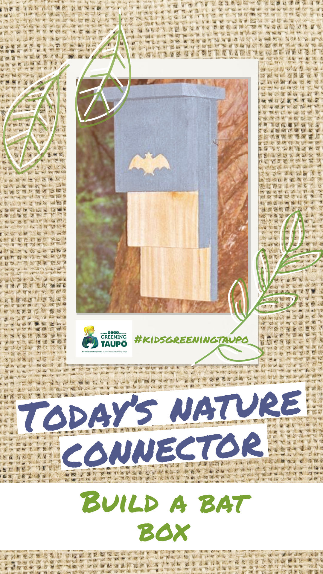 Pekapeka/Native Bats of Aotearoa — Kids Greening Taupō | Learning ...