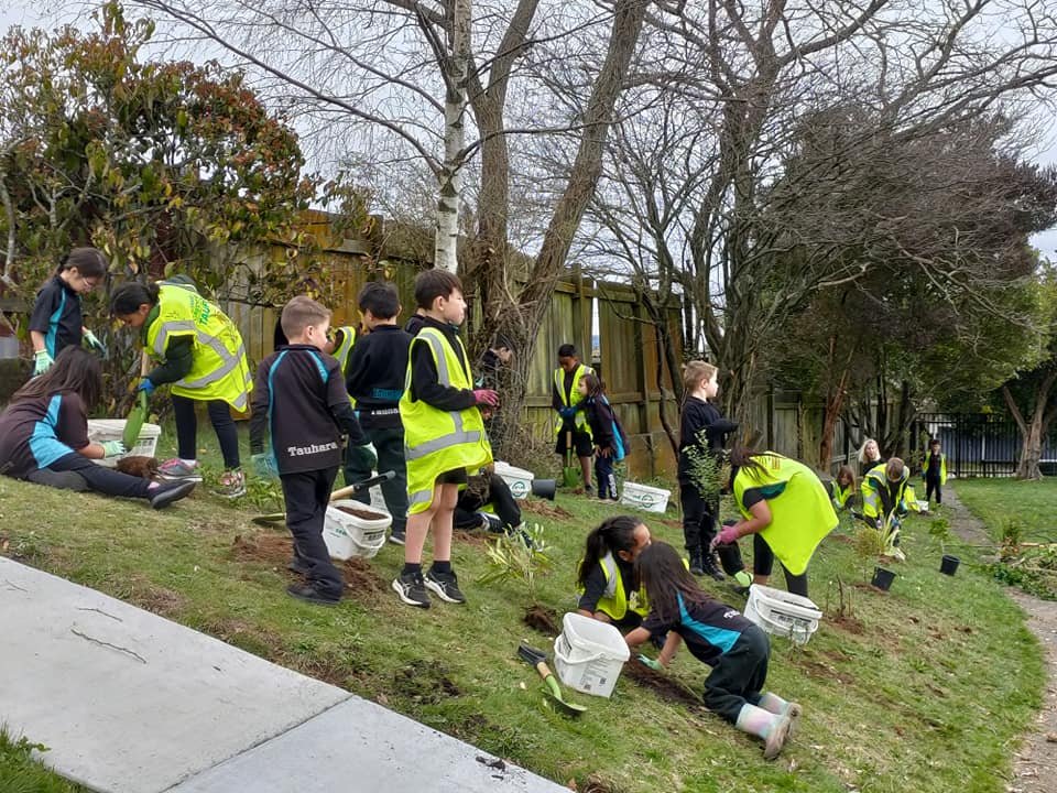 Tauhara Primary School Restoration Project and Mokomoko Motorcamp ...