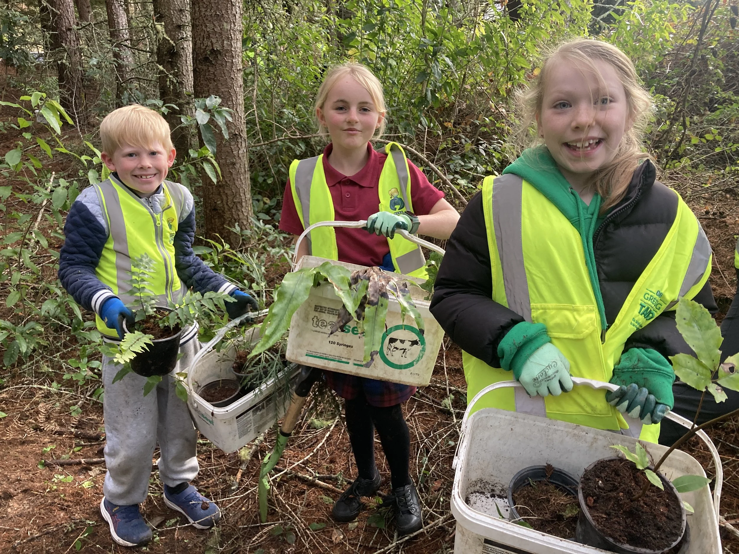Seedling Collecting — Kids Greening Taupō | Learning Through Nature